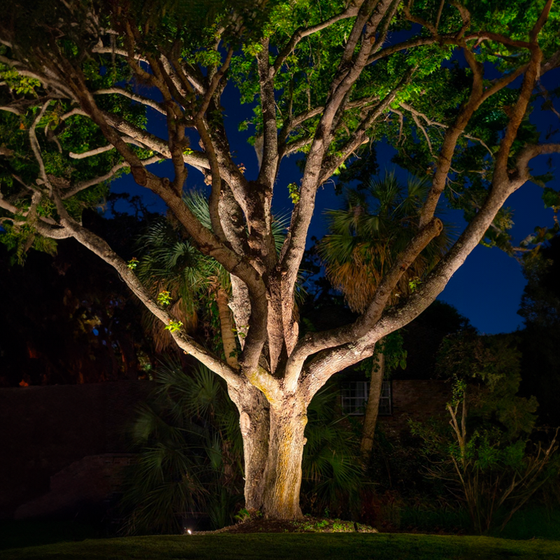 Moon Lighting - Outdoor Landscape Lights - LeonLite